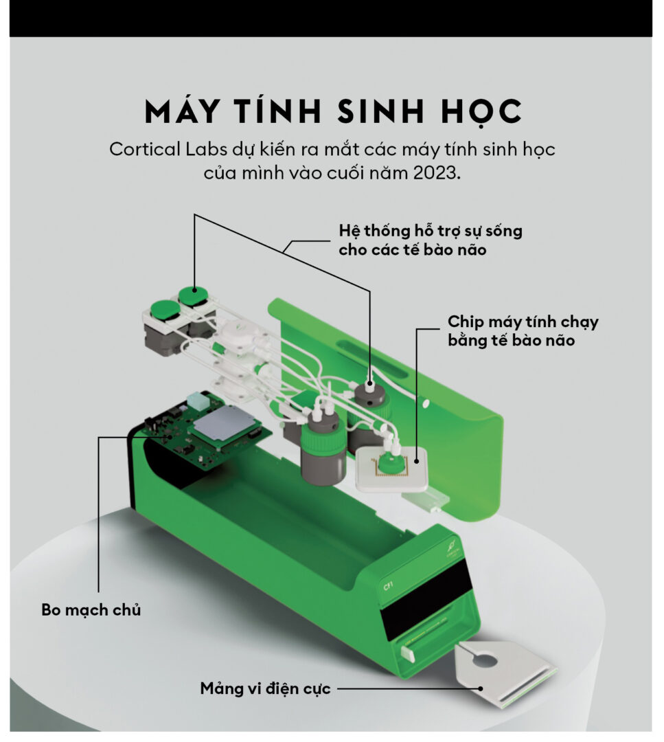 Cortical Labs tham vọng tạo ra máy tính được điều khiển bằng tế bào não