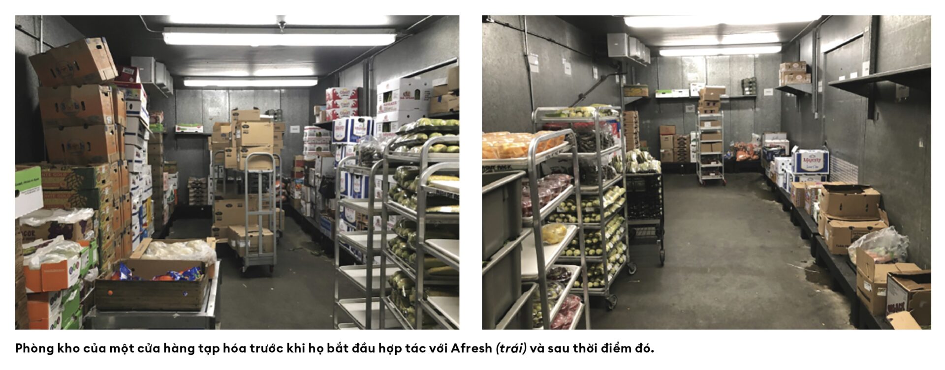 Startup Afresh Technologies bội thu nhờ giải pháp chống lãng phí thực phẩm